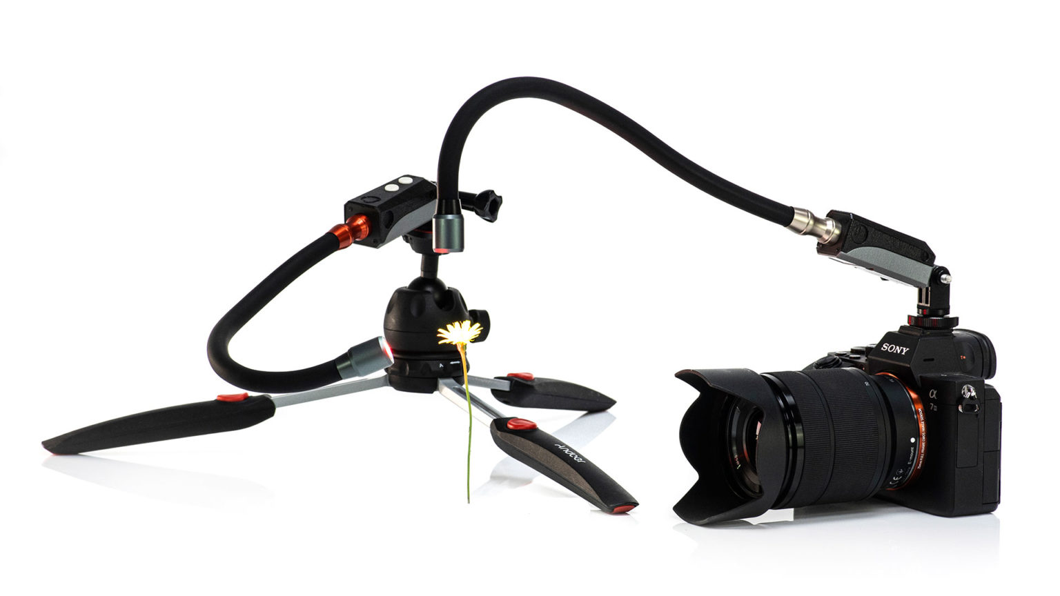 Adaptalux Pod Mini: Η νέα λύση τροφοδοσίας φωτισμού για Macro ...