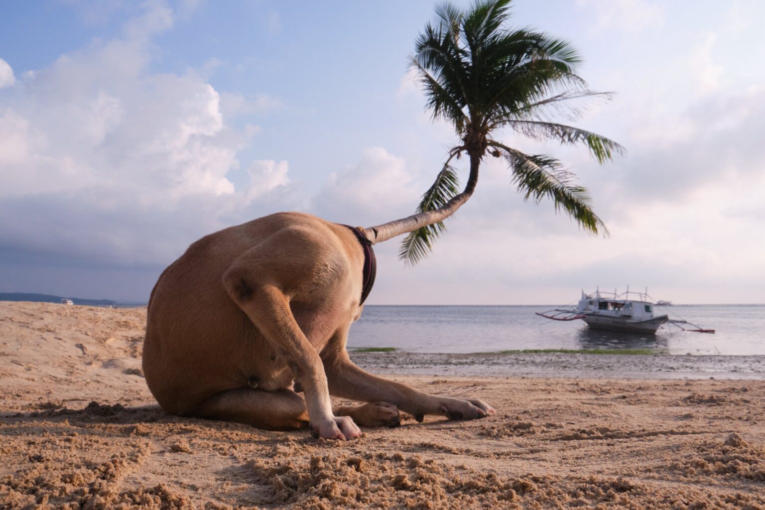 LensCulture Street Photography Awards 2025: Όταν ο δρόμος γίνεται ...